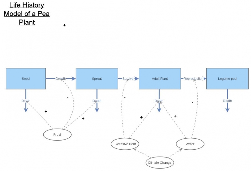 Life History Model | Insight Maker
