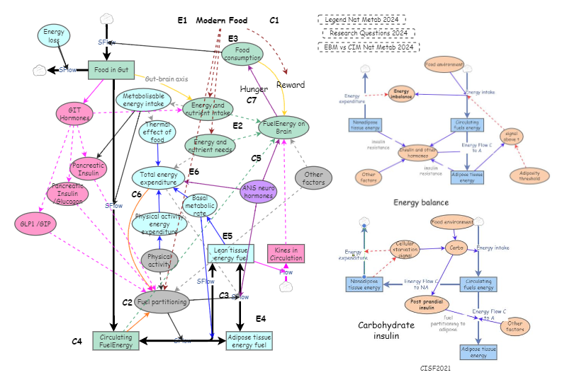 Obesity Energy Balance and Carbohydrate Insulin Model Differences | Insight Maker