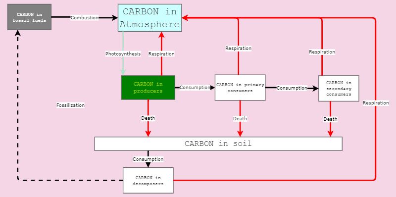 Carbon in Atmosphere | Insight Maker