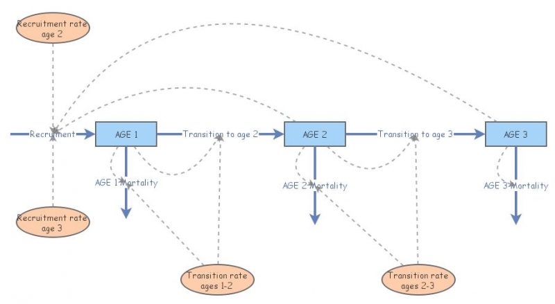 Lab #3: exercise 3 (Clone) | Insight Maker