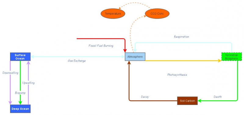 Carbon Cycle | Insight Maker