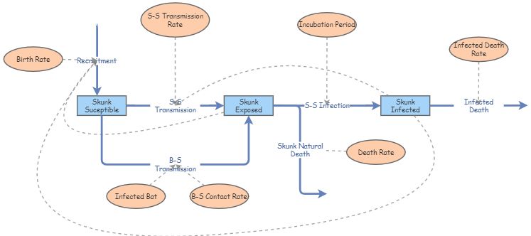 Skunk-Bat Rabies_ Skunk Model | Insight Maker