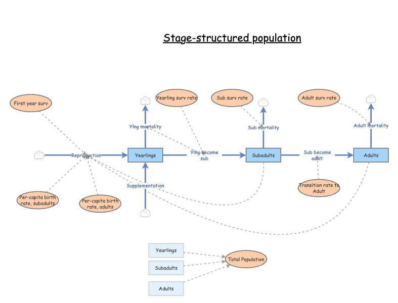 Stage Structured Population Insight Maker