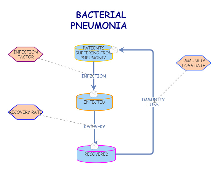 BACTERIAL PNEUMONUA | Insight Maker
