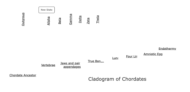 Clone of Cladogram of Chordates | Insight Maker