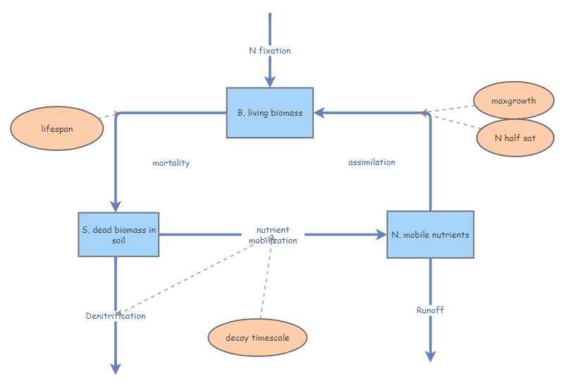 coastal redwoods nitrogen model | Insight Maker