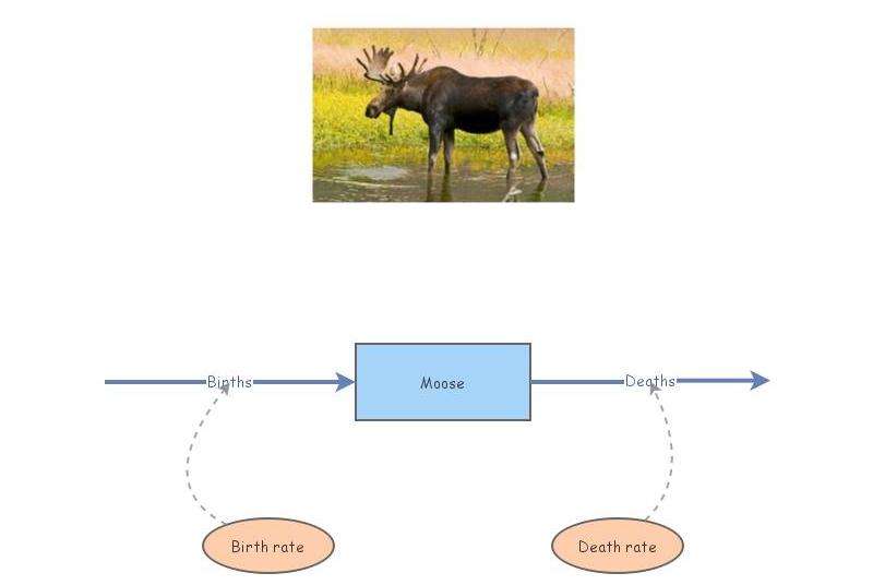 Moose example | Insight Maker