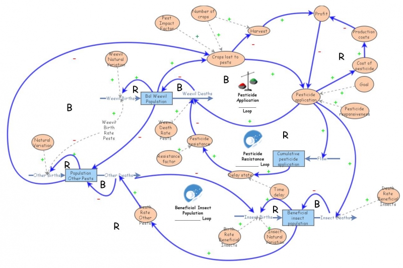 Clone of Clone of REM 221 - Causal Loop diagramming | Insight Maker