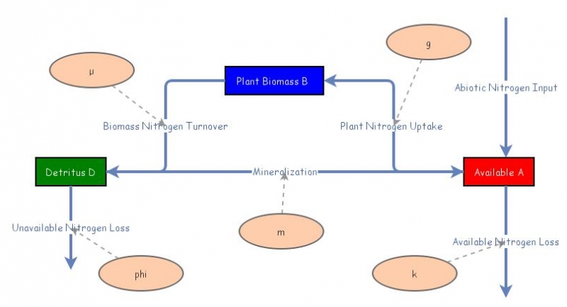 Menge et al., 2009 terrestrial nitrogen cycle model | Insight Maker