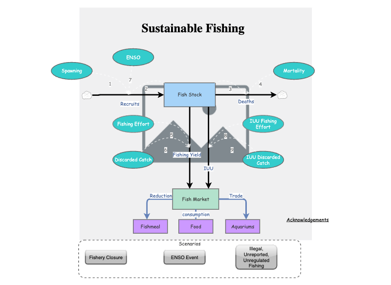 Clone of Clone of Stage 4 - Sustainable Fishing Model | Insight Maker