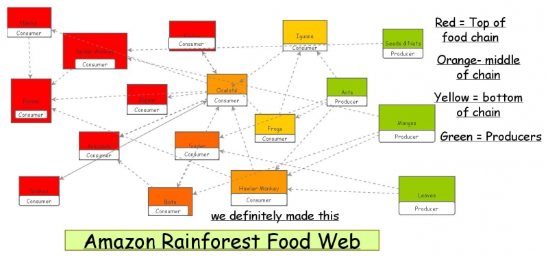 Clone of Amazon Food Web | Insight Maker