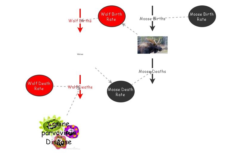Predator Prey Interactions Tutorial Insight Maker