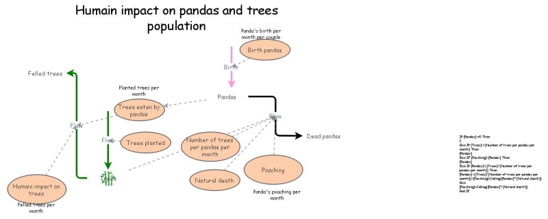 Humain impact on pandas and trees population | Insight Maker