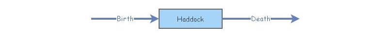 Linear Haddock flow | Insight Maker