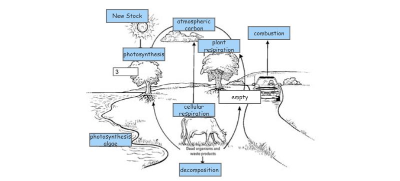 co2 stock and flow chart | Insight Maker