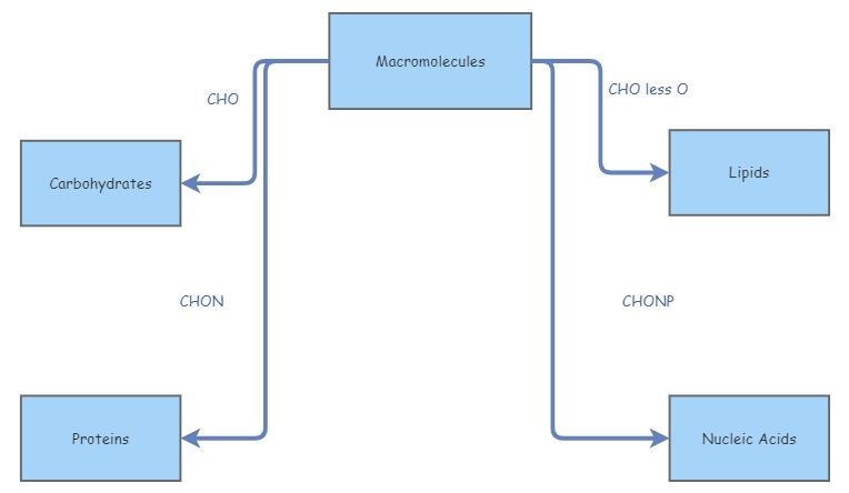 Macro Flow Chart | Insight Maker