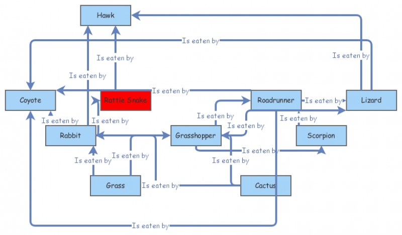 Rattlesnake food web | Insight Maker