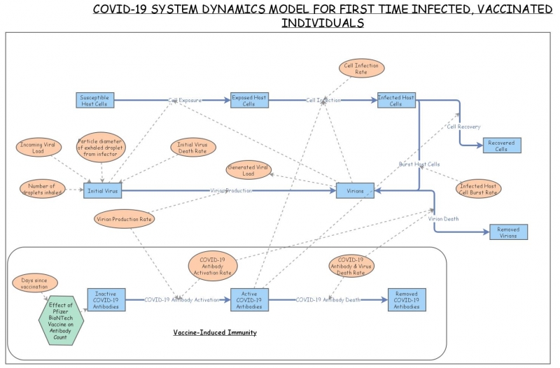 System Dynamic Model 1a (First-time Infected Individual) | Insight Maker