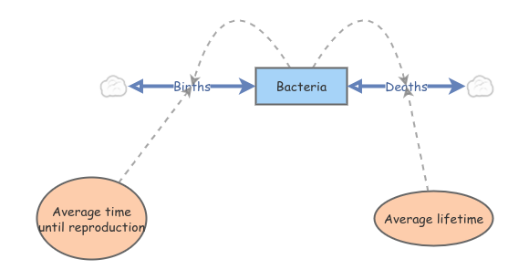 bacteria simulation | Insight Maker