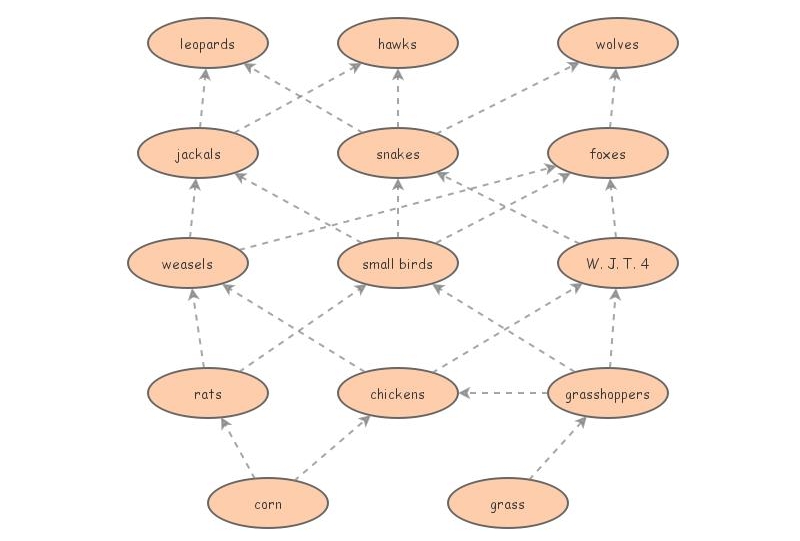 Cryptic Food Web | Insight Maker