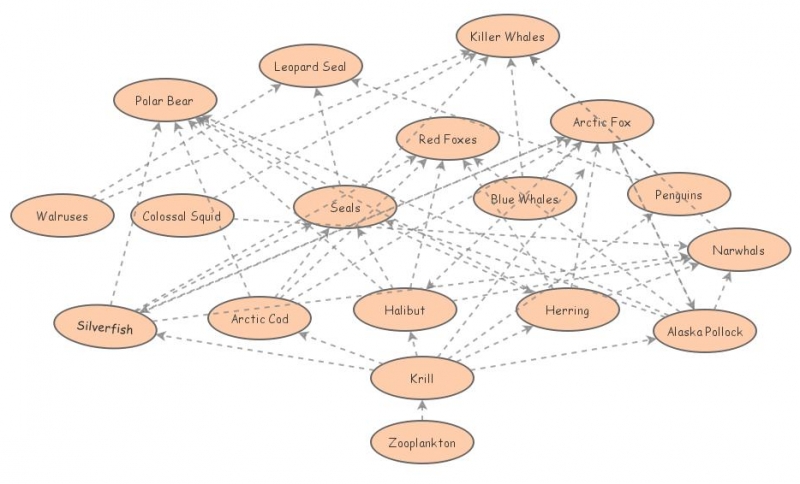Clone of Clone of Arizona Food Web | Insight Maker