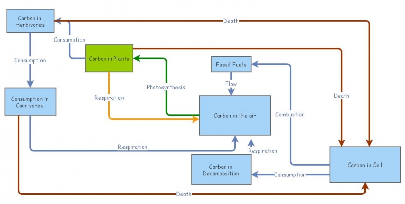 Carbon | Insight Maker