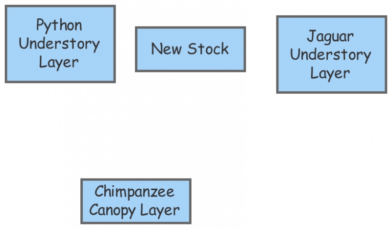 Rainforest food web | Insight Maker