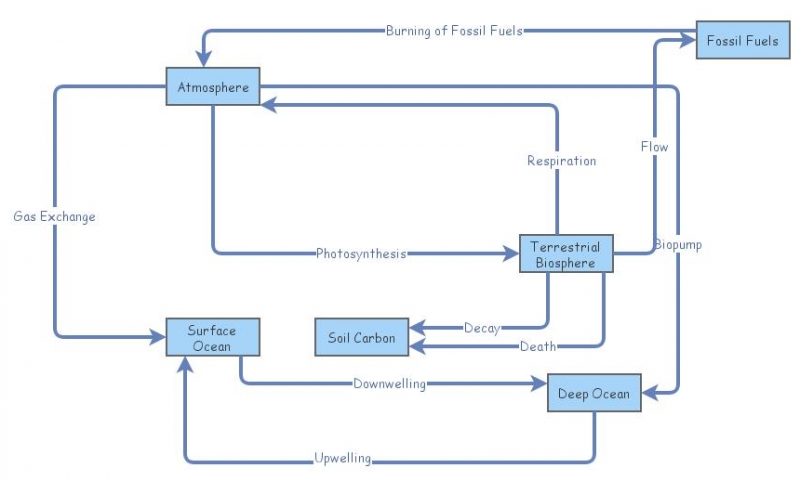 Carbon Cycle Final Draft | Insight Maker