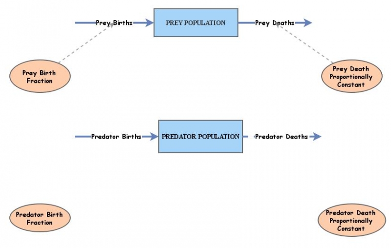 Predator Prey Model (Oscillation) | Insight Maker