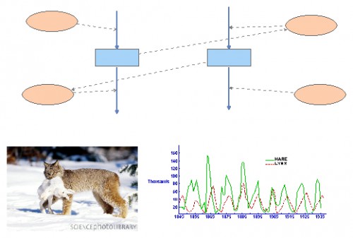 Bio Project-Lynx/Snowshoe Hare-->Predator/Prey Relationship | Insight Maker