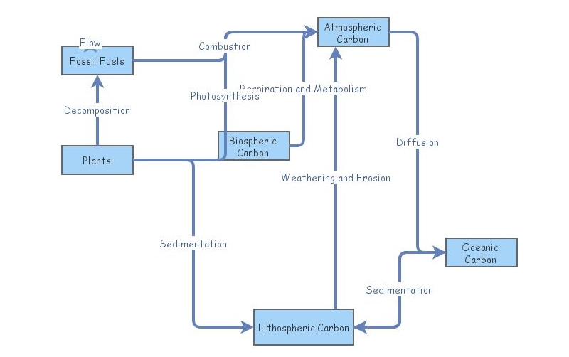 Carbon Cycle | Insight Maker