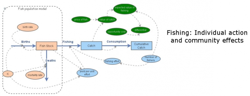 Overfishing_storytelling version | Insight Maker