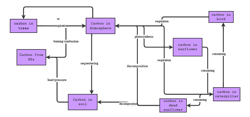 Carbon Model | Insight Maker