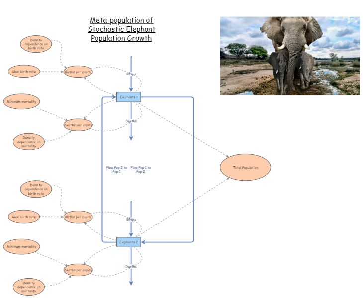 Clone of Metapopulation of Elephant population growth with ...