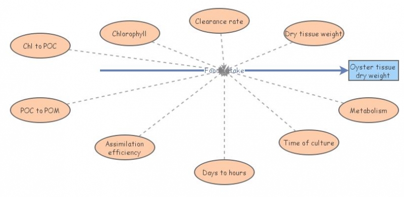 oyster growth | Insight Maker