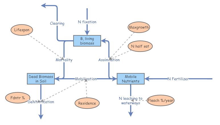 Nitrogen cycle model | Insight Maker