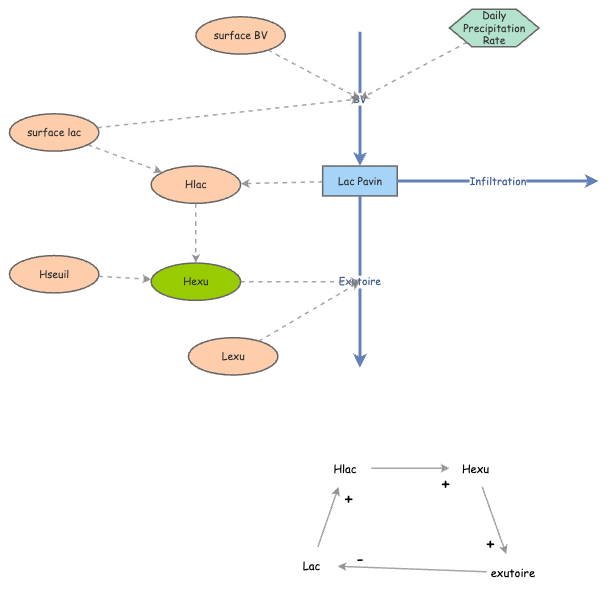 Practice Exam#1.2 | Insight Maker