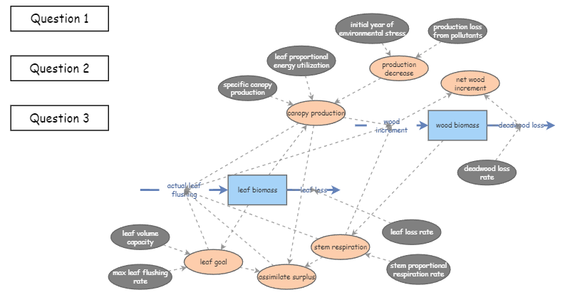 Bossel: Z308 Forest dynamics | Insight Maker