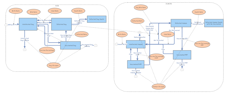 Proyek TPS: Penyebaran Rabies Revisi | Insight Maker