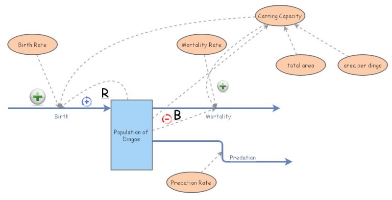 Dingo Model | Insight Maker
