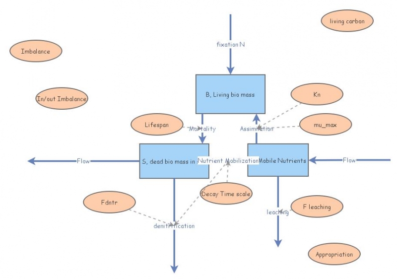 Wolf Shermerhorn Land Nitrogen cycle model template | Insight Maker