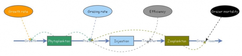 Lab5_phytoplankton_zooplankton_model | Insight Maker