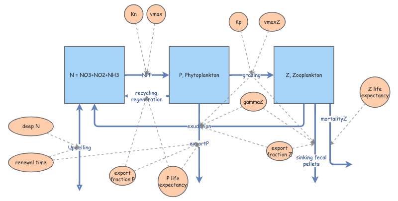 Clone of Marine NPZ model template | Insight Maker