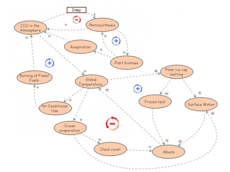 Combined Loop | Insight Maker