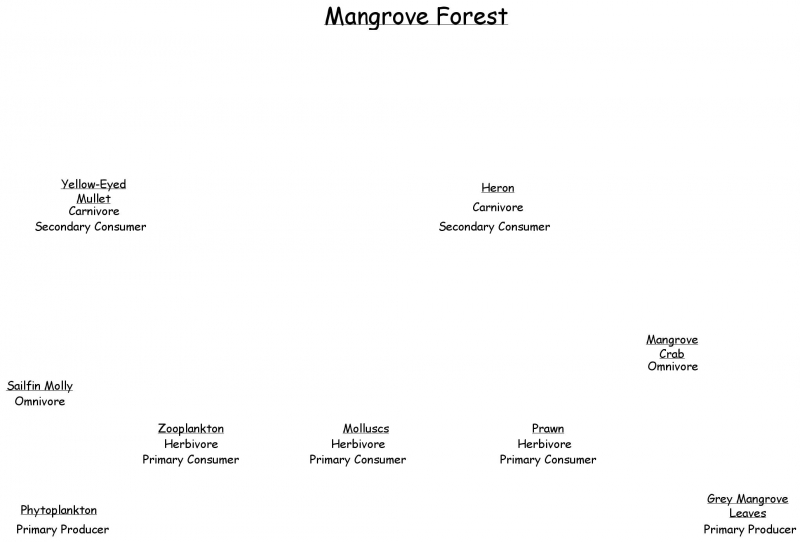 Mangrove Forest | Insight Maker