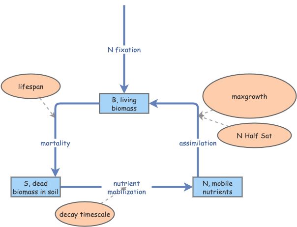 Clone of Terrestrial N cycle model template | Insight Maker