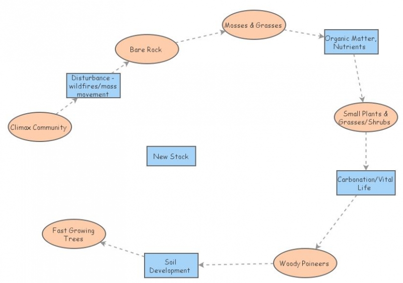 Systems Thinking Discussion 5 | Insight Maker