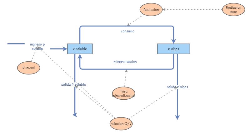 modelo fosforo repaso | Insight Maker