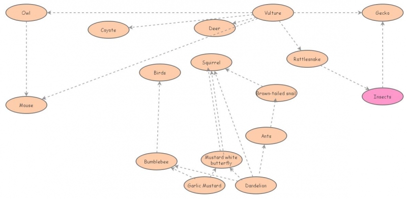 Clone of Arizona Food Web | Insight Maker