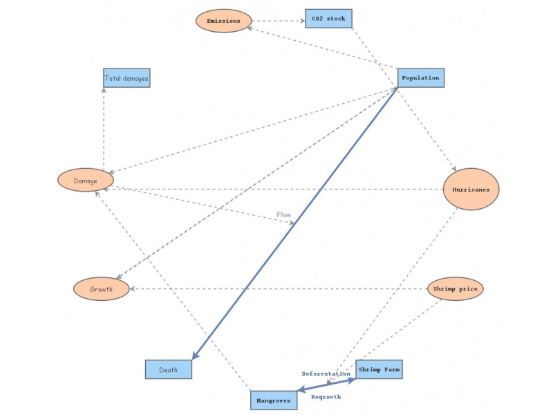 Mangrove forest–hurricane model | Insight Maker